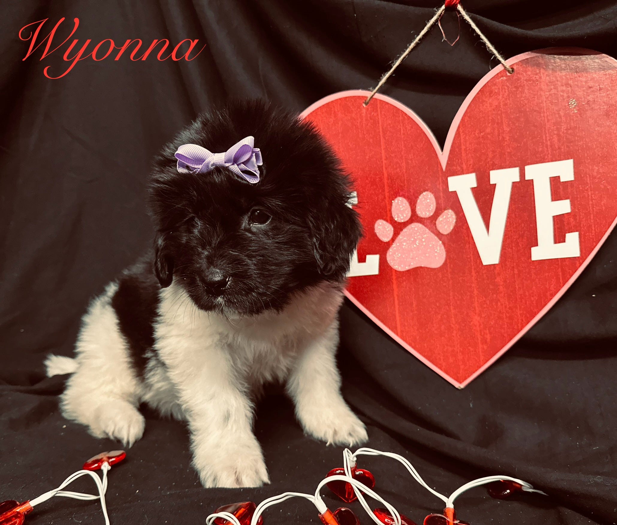 So... This Is Happening - by David M. Poff