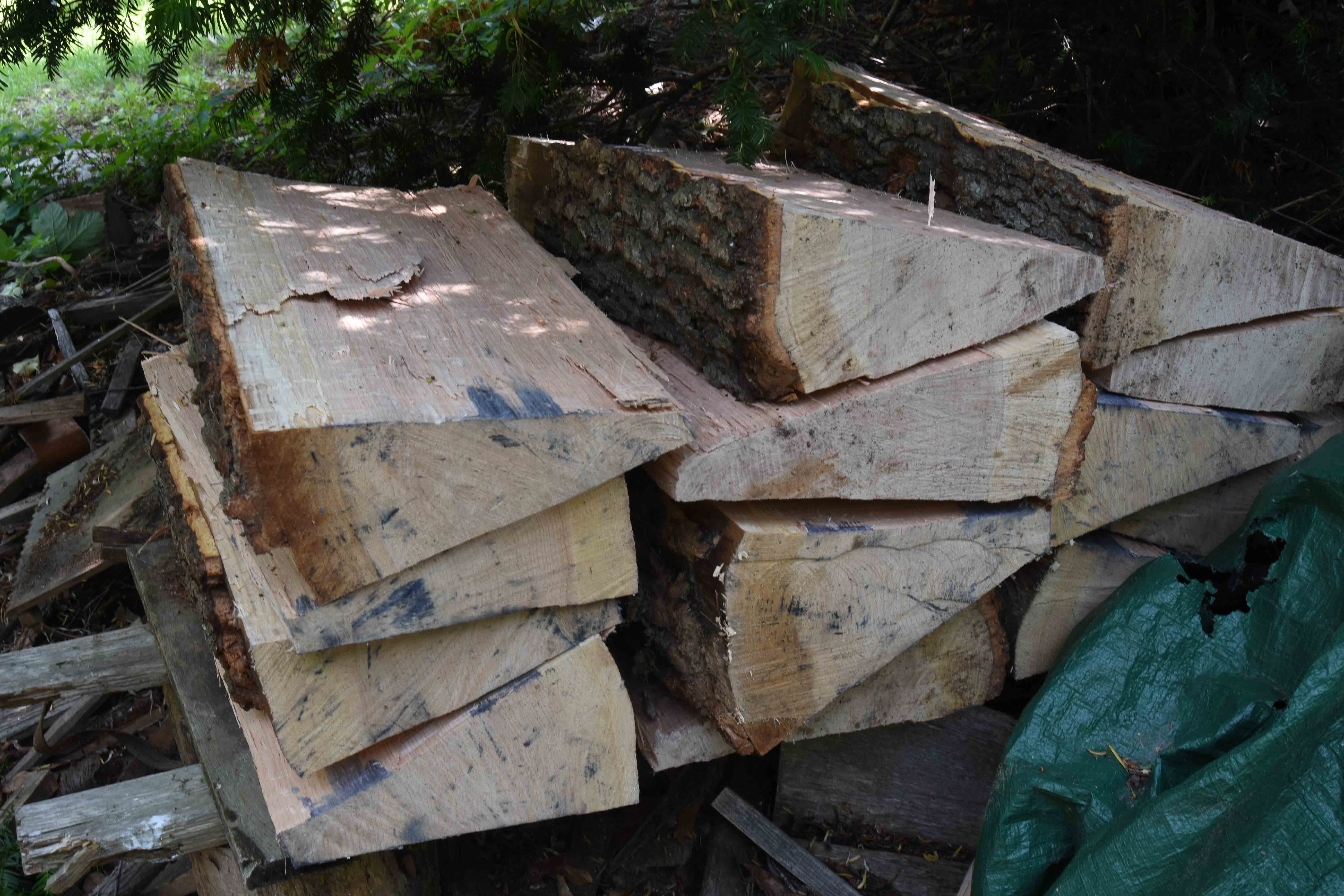 New oak log - by Peter Follansbee - Follansbee's Substack