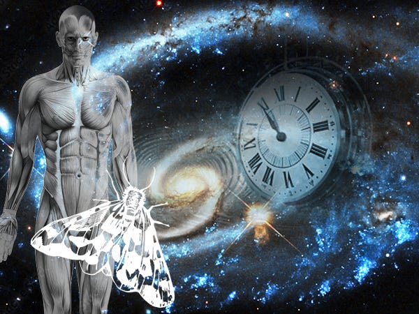 Perceptions of Time from the Galactic to that of a Moth