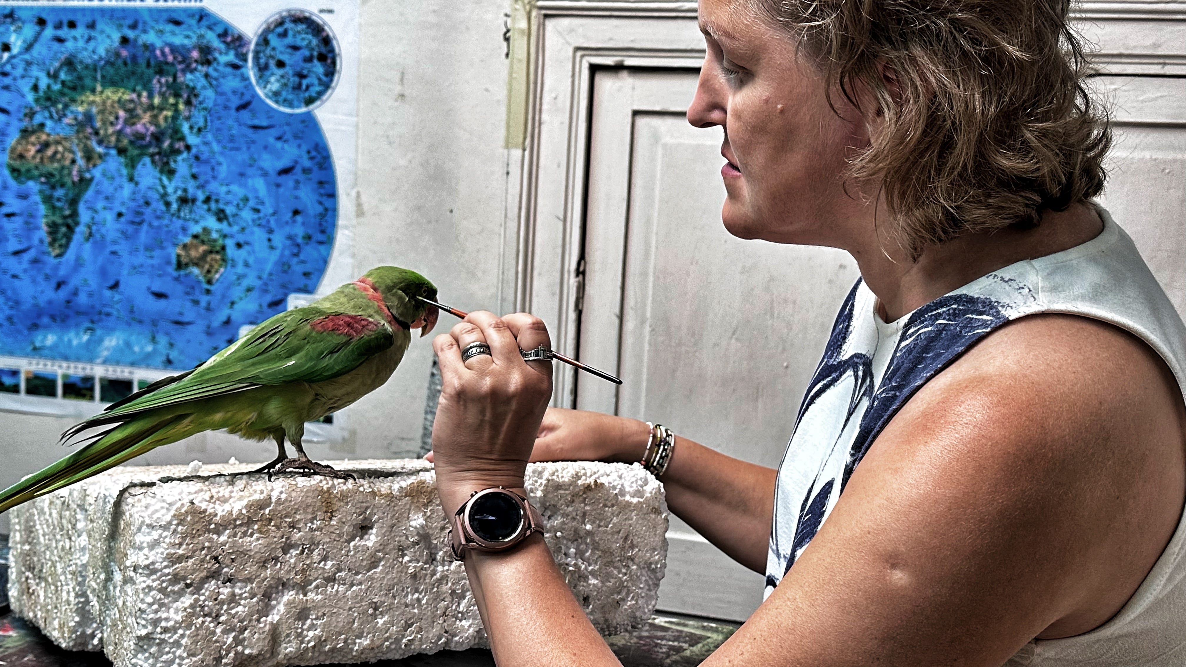 Putin's Culture War: Ukrainian Museums Under Attack