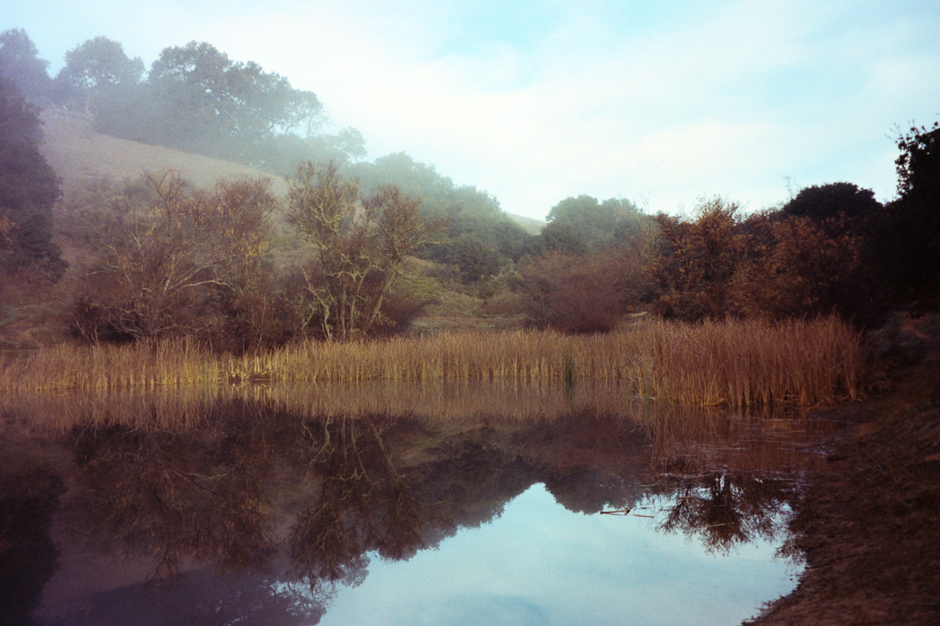 What I'm sitting with - Human Stuff