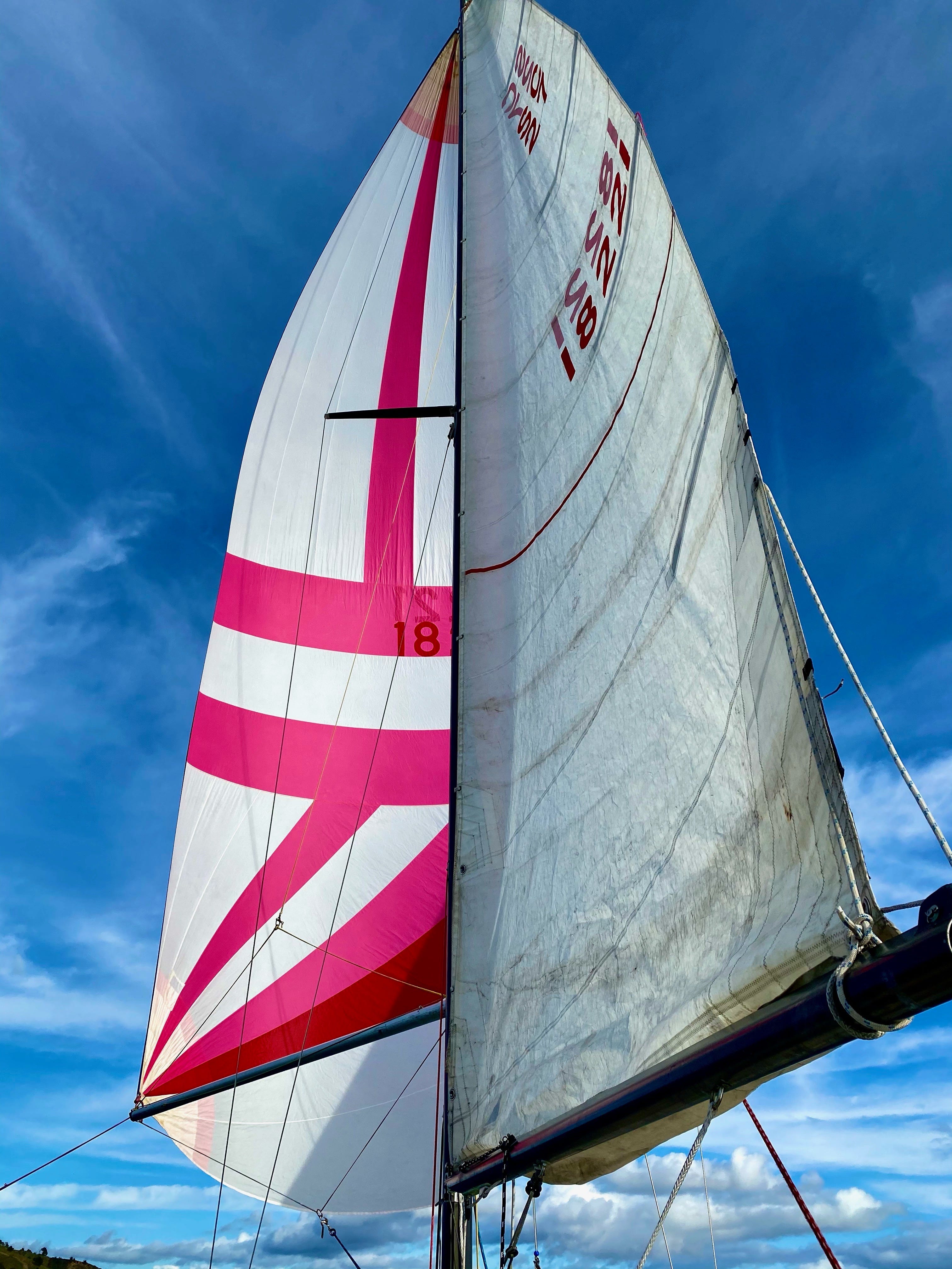 Wind - by Sally Lee Stewart - Sally’s Substack