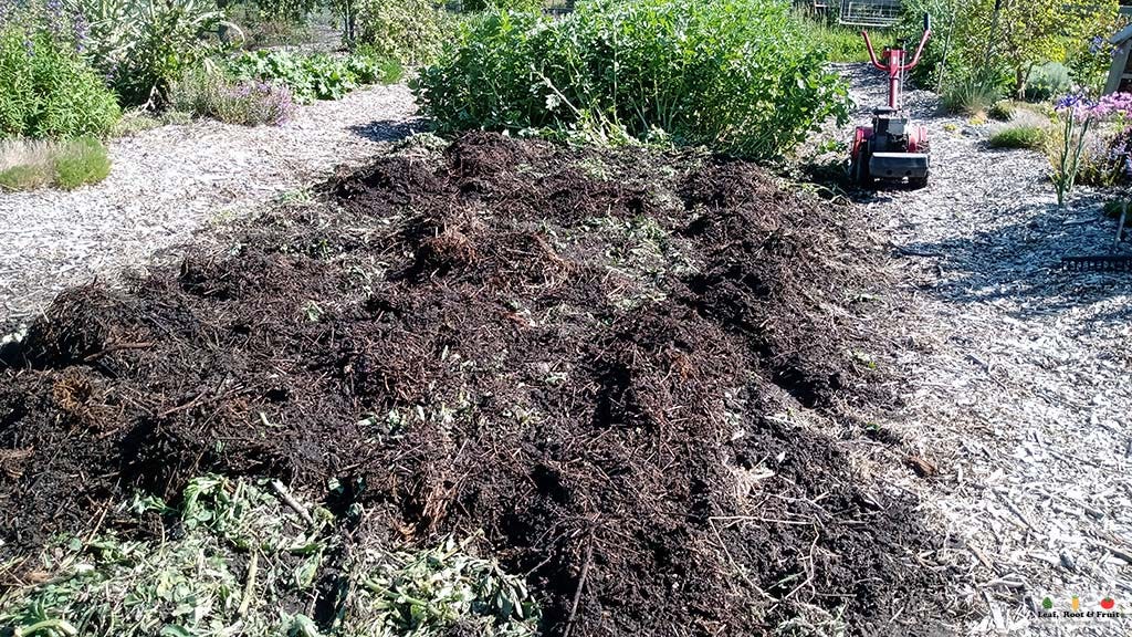 Using Compost in the Vegetable Patch - by Duncan Cocking