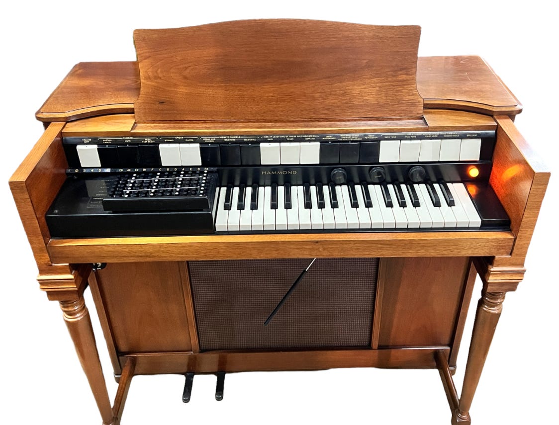 OBJECTS: The shell - by Rob Berry - Rob’s Newsletter
