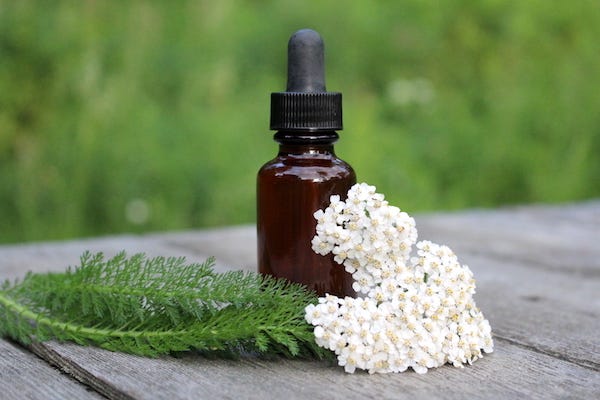 Homemade Herbal Tinctures - by Ashley Adamant