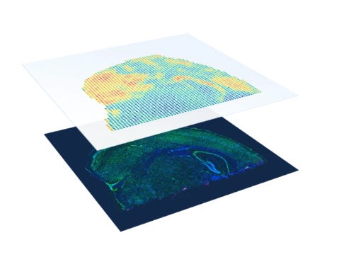 Landscape of Sequencing-based Spatial RNA Technology: Part I