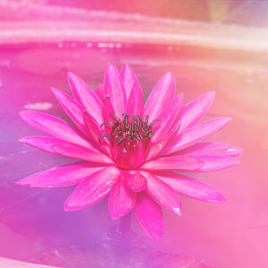 The Magic of a Perception Shift - A Choice to Find Purpose