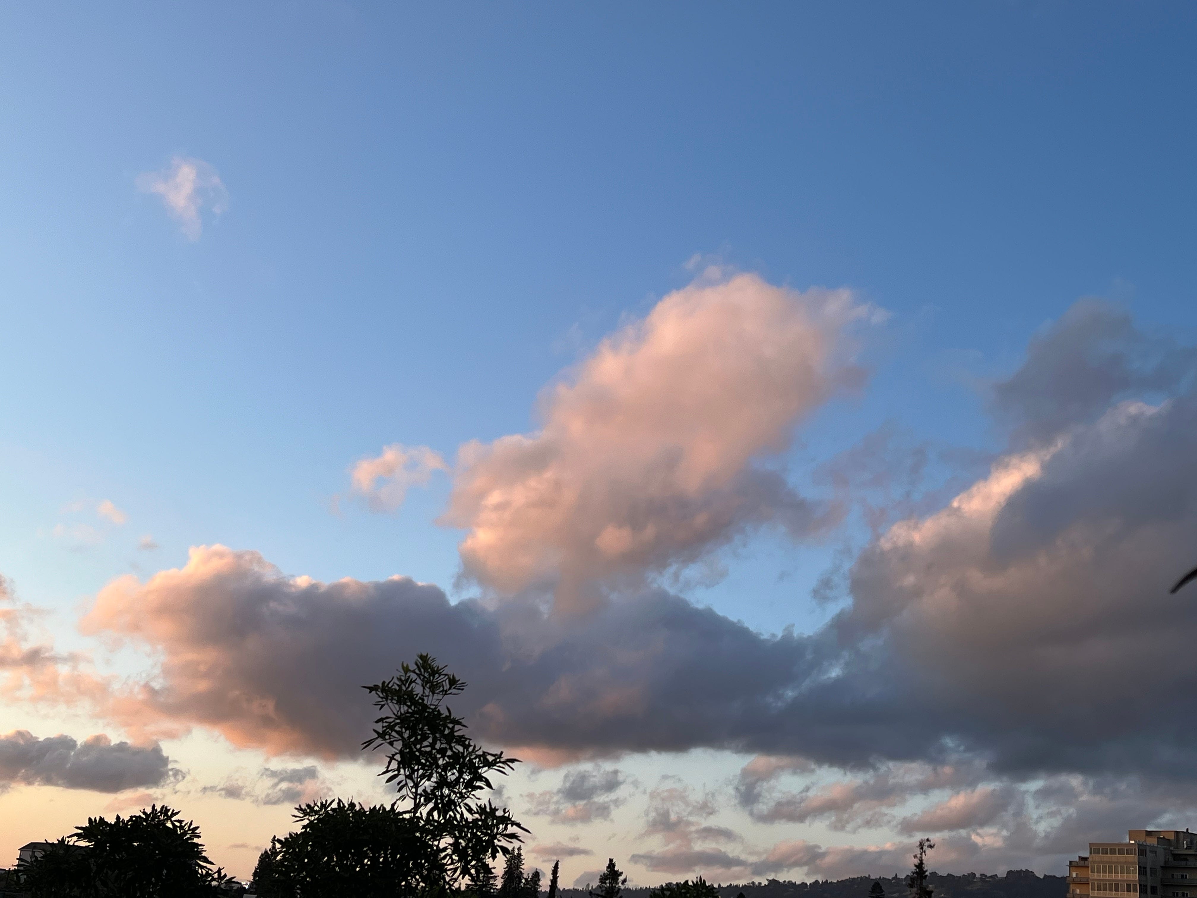 The Inner Voice of the Writer - by Maya Spector