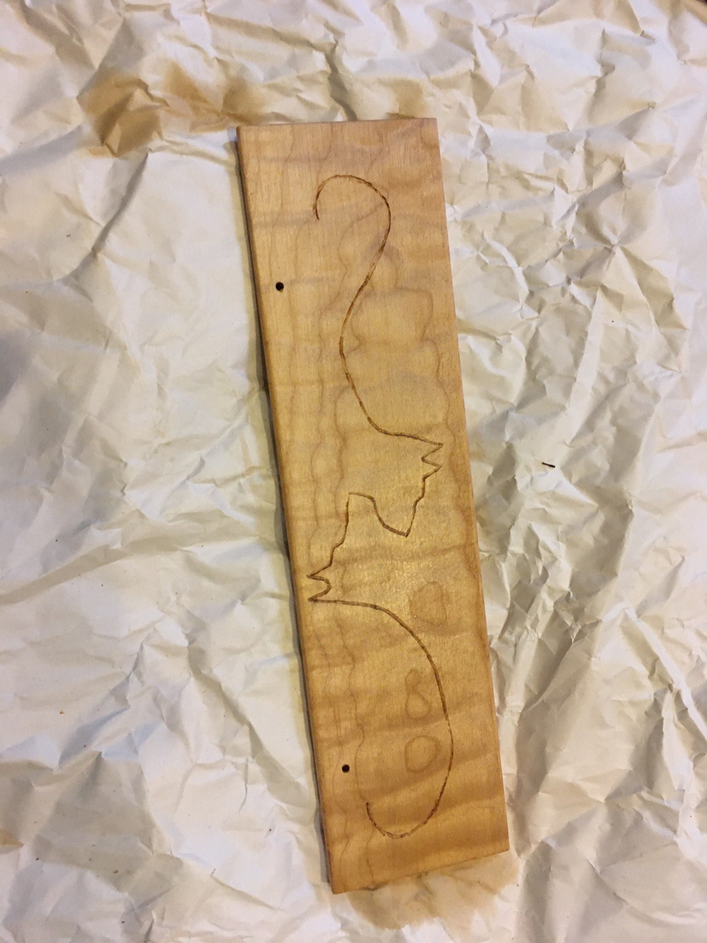 Elusive Light - Symborna’s Substack