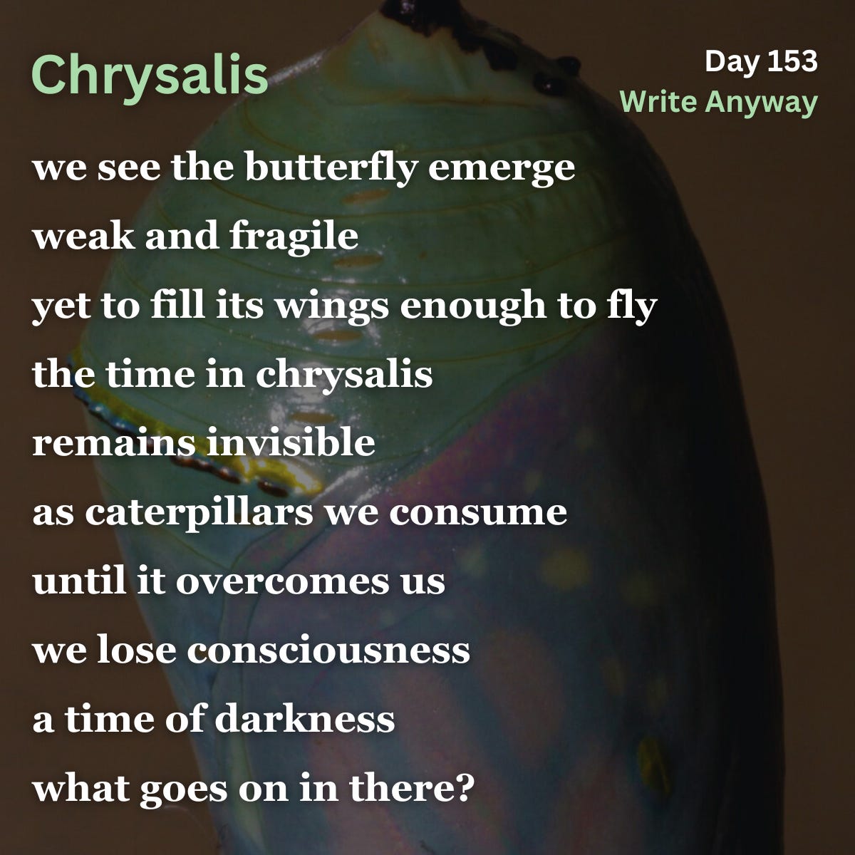 153 - Chrysalis - Something of Meaning