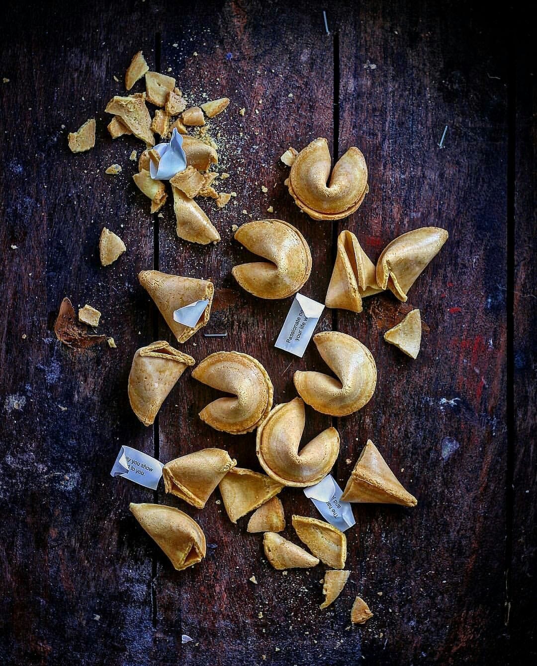 A Fortune Cookie - by Hanne Blank Boyd