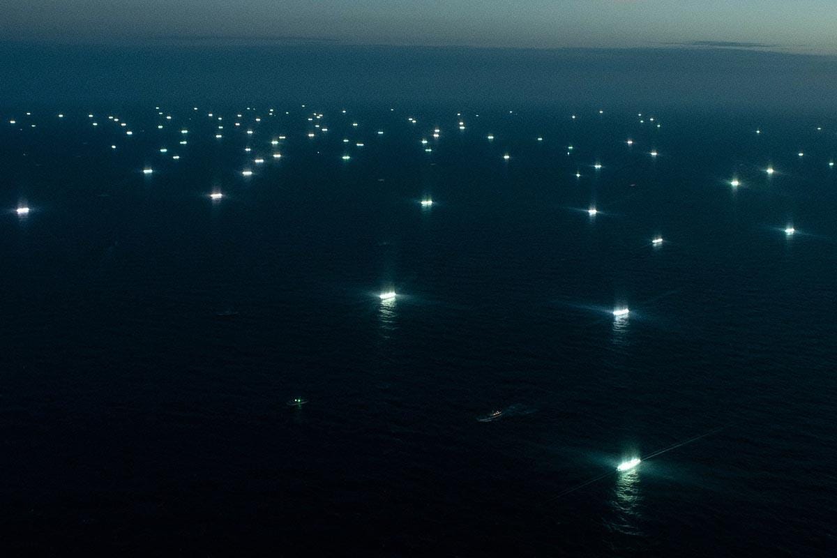 The Amazon of the ocean is in danger, and it needs your help