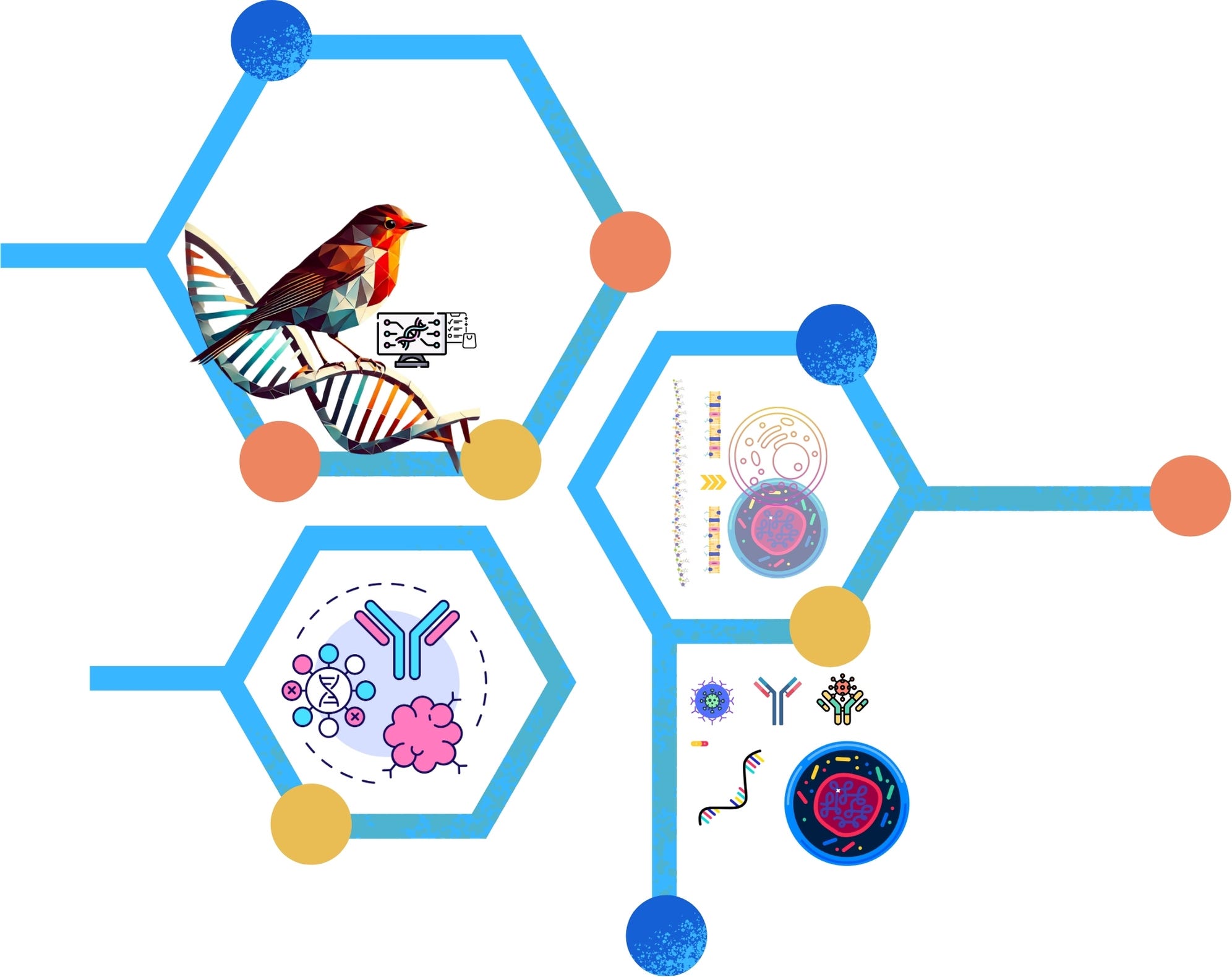 Antisense Oligonucleotides - Optimization of ASOs and Delivery Systems