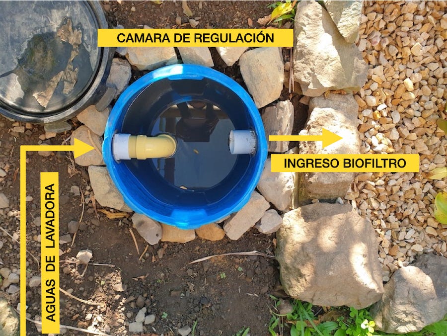 #116 Biofiltro para depurar aguas de unas lavadoras