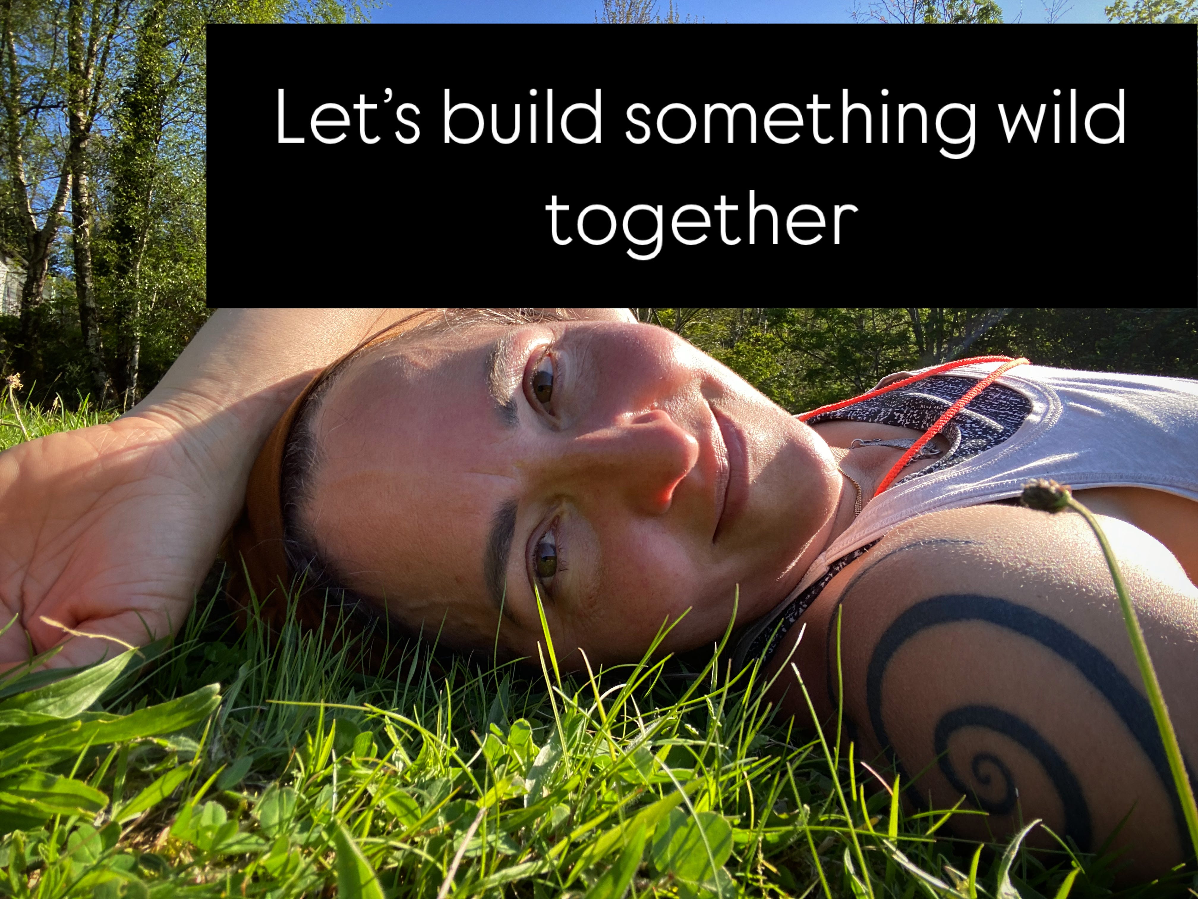 Let’s build something wild together - Rooting a Wild Dream at Altidore Castle