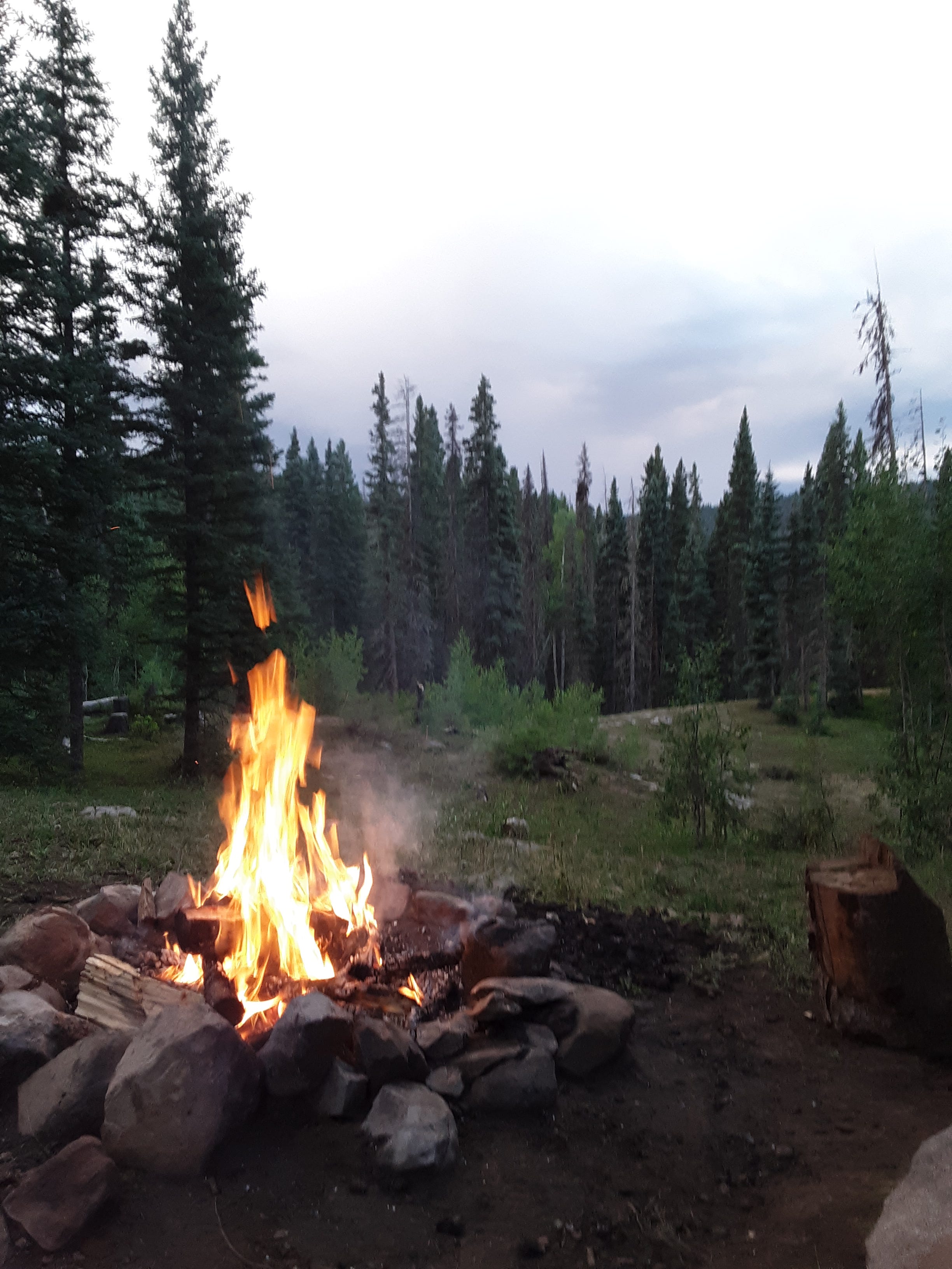 Rewilding - by belledejour_uk - Body of Work: Belle de Jour