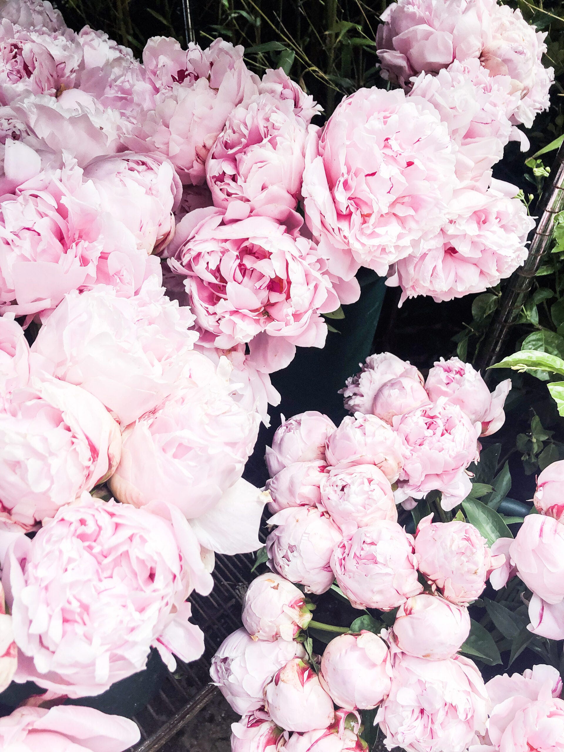 Sunday Scroll #38 - Emily Ley’s Substack