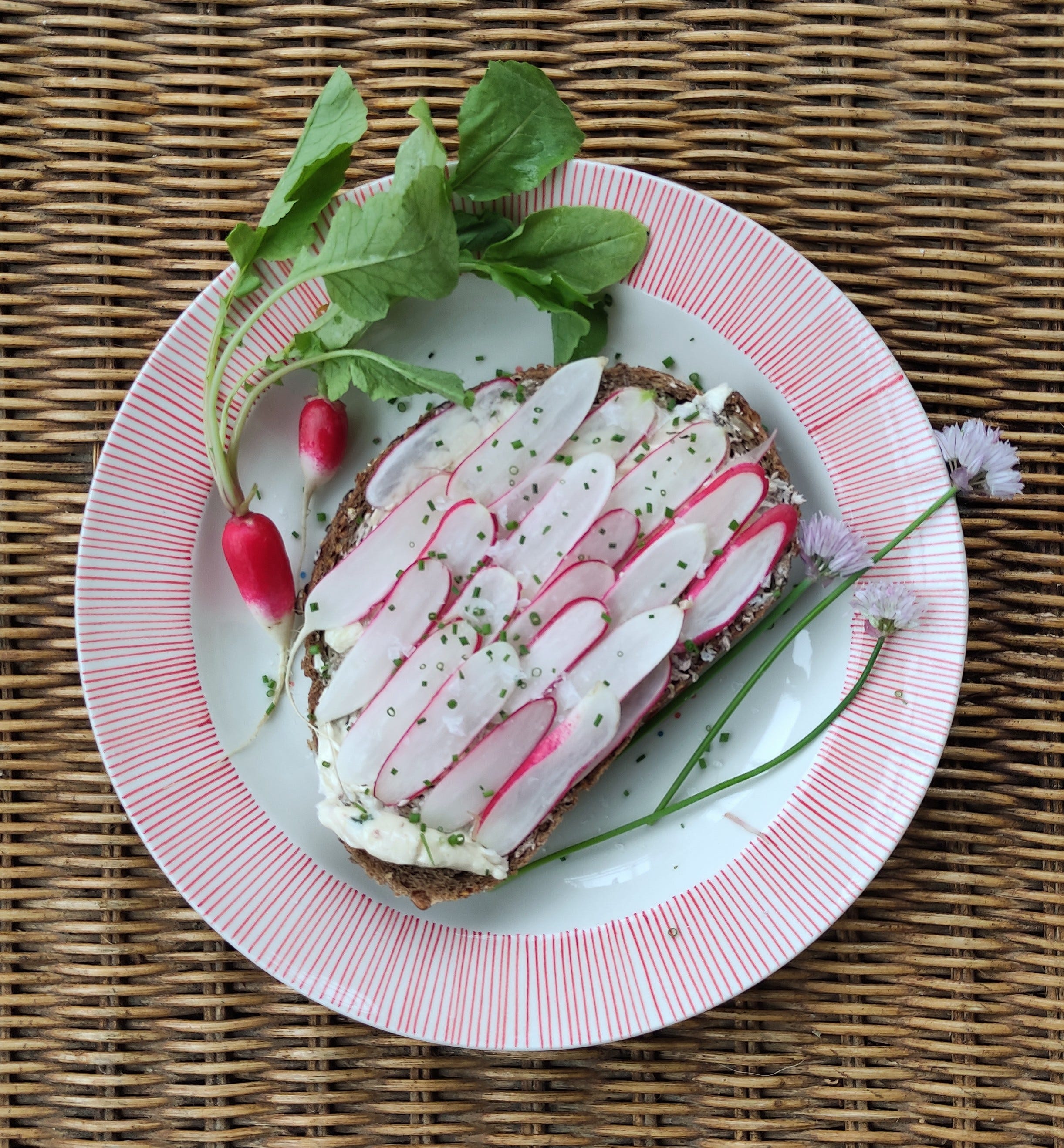 The mystery of the French breakfast radish