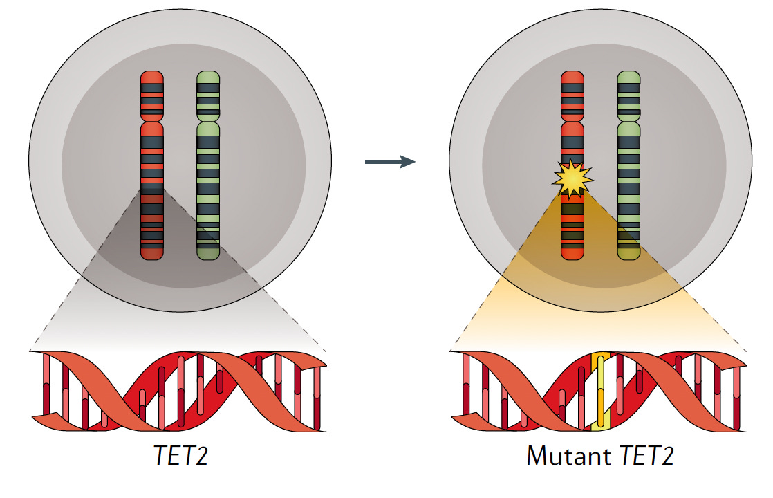 The under-appreciation of CHIP - by Eric Topol