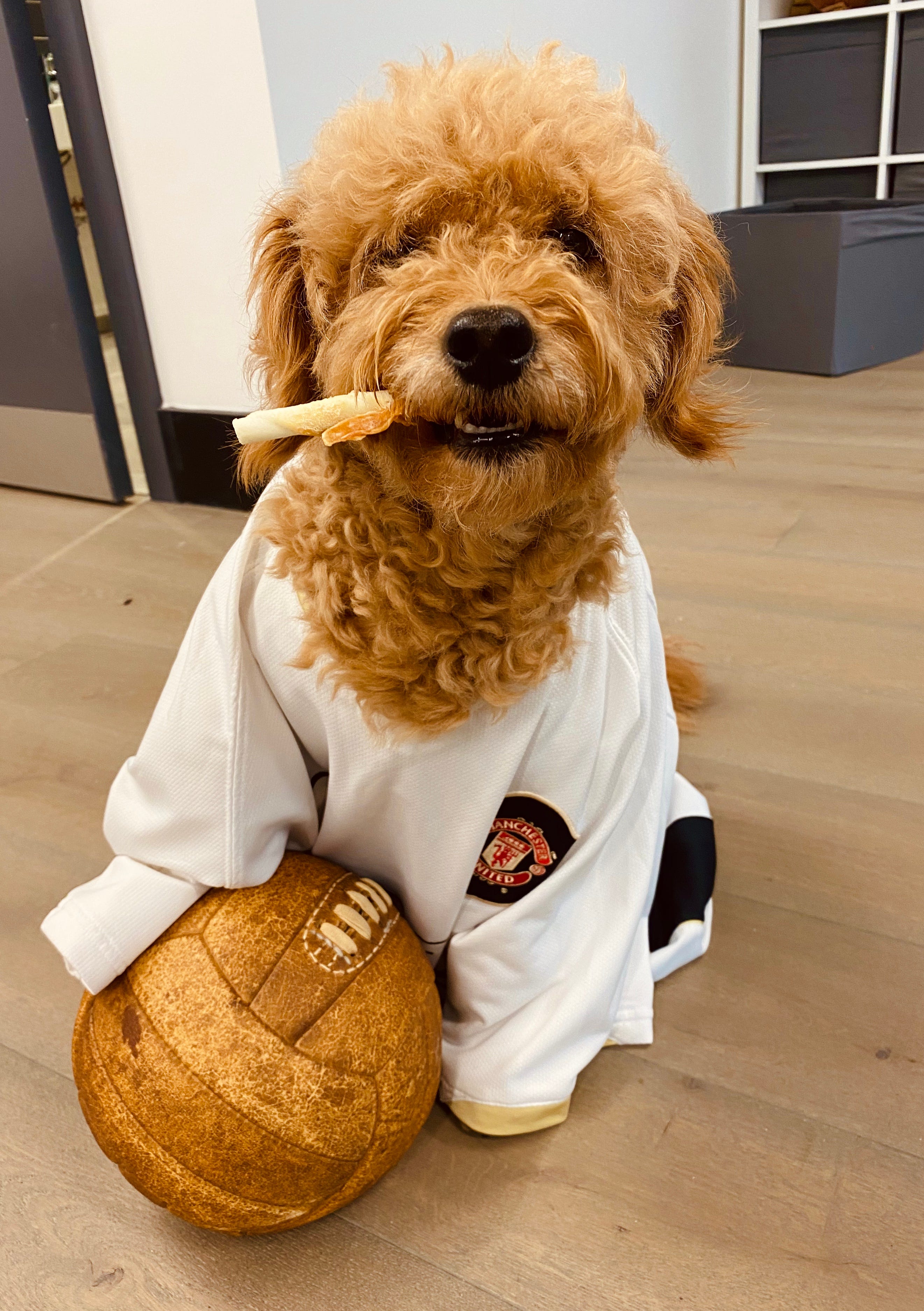 Welcome to my brand new Substack! - Ben Jacobs' Substack