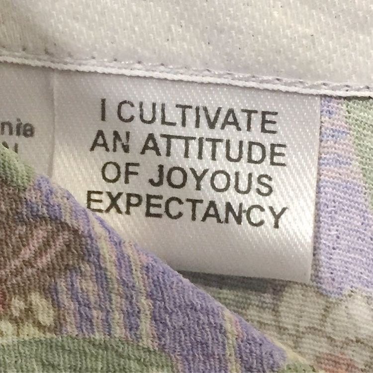 aline dolinh | Substack