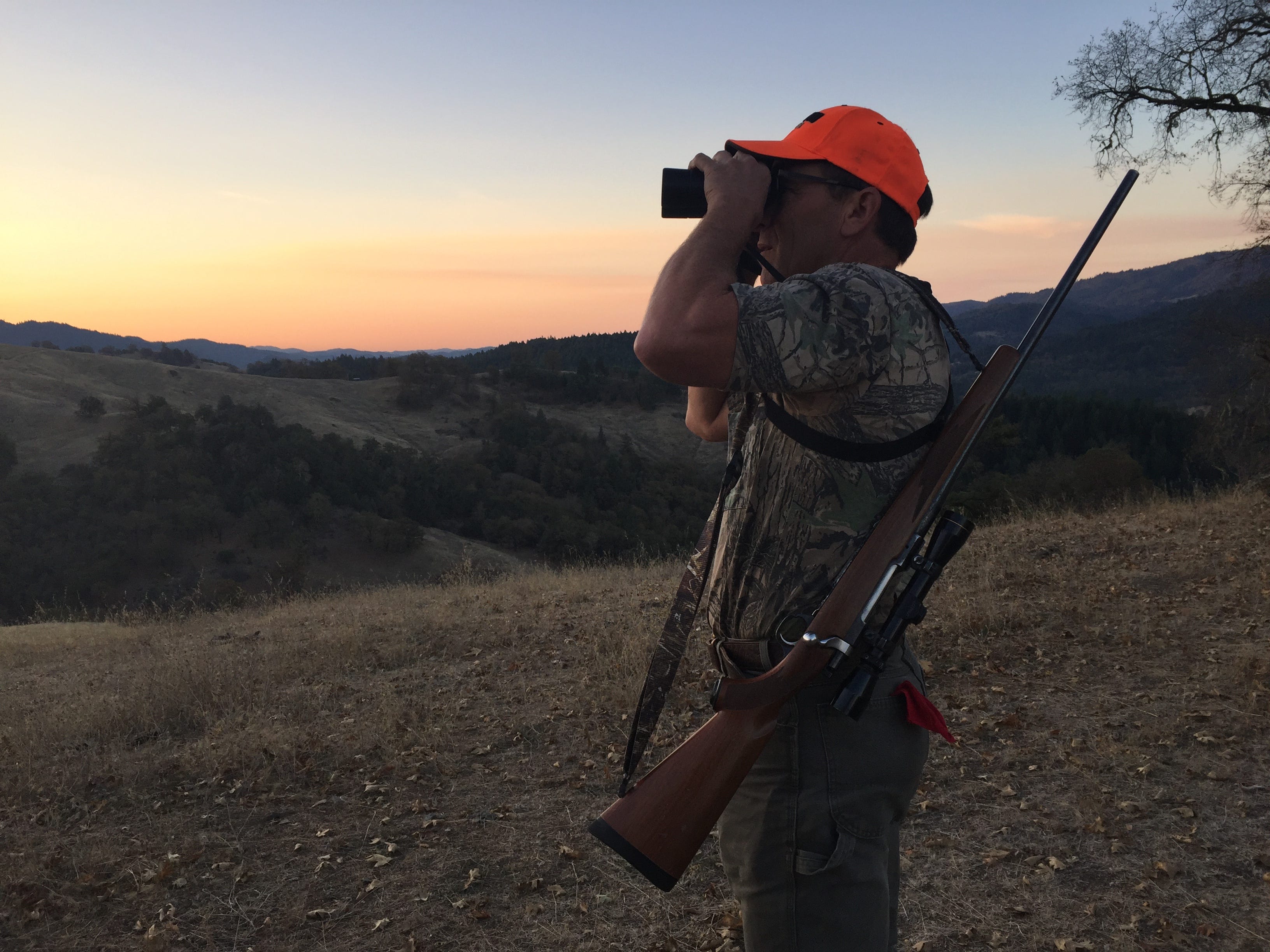 CO Mountain Lion Ballot Initiative: Continuous Updates | Page 14 | Hunt ...
