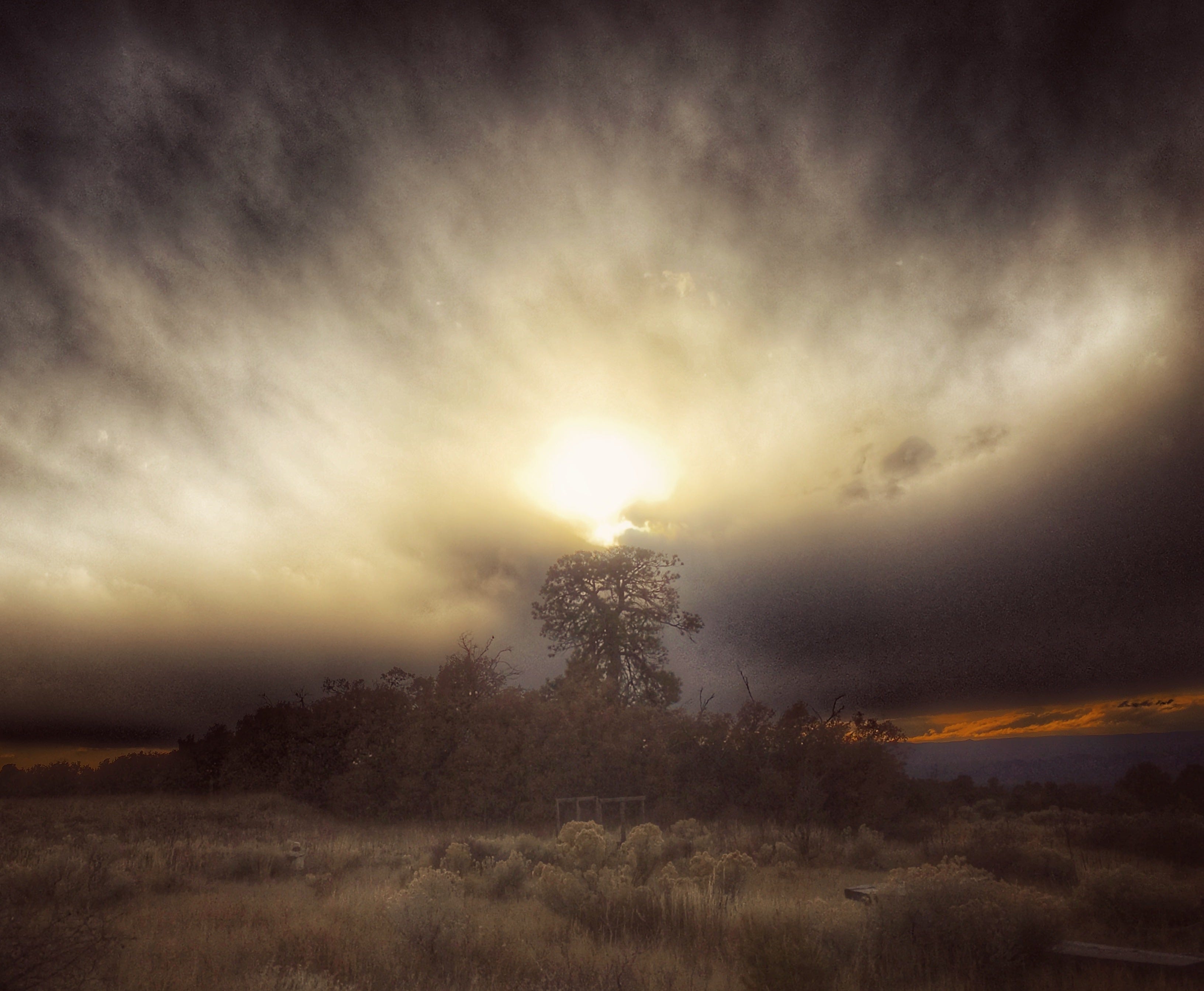 Weathering the storm… - Papadas’s Substack