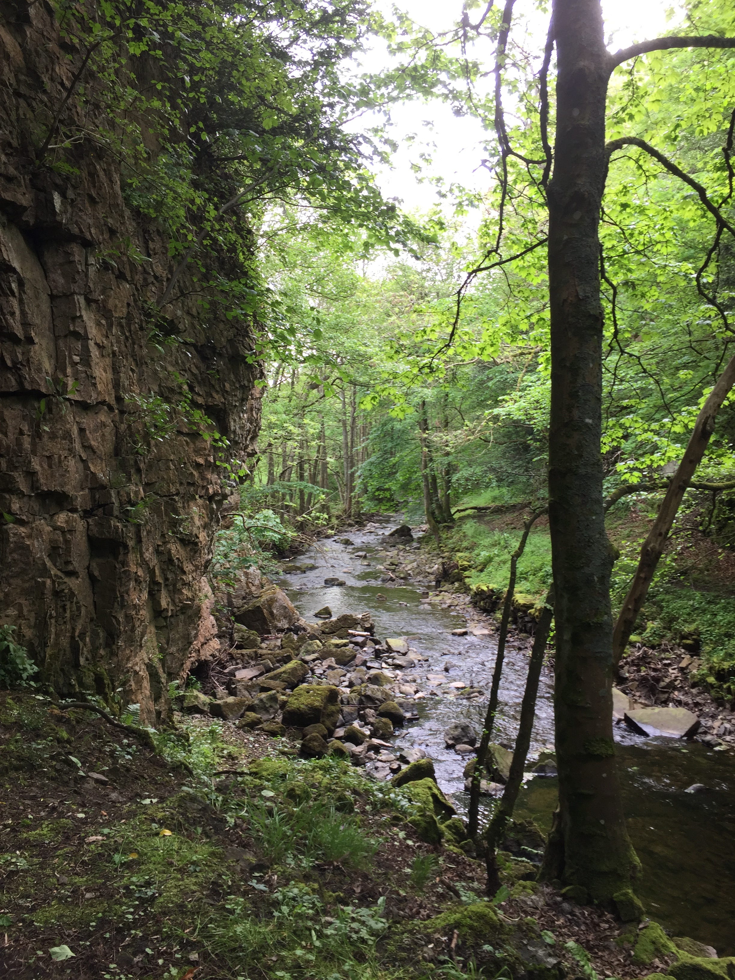 Where the wild things are... - by Caroline Beck - DIRT