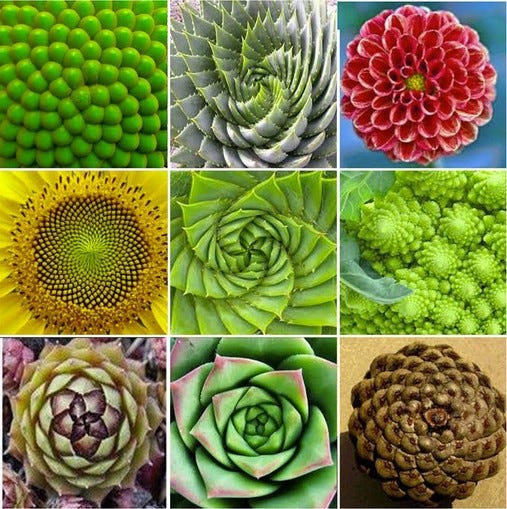 Long Comms: The Four Elements - sleepydude’s Substack