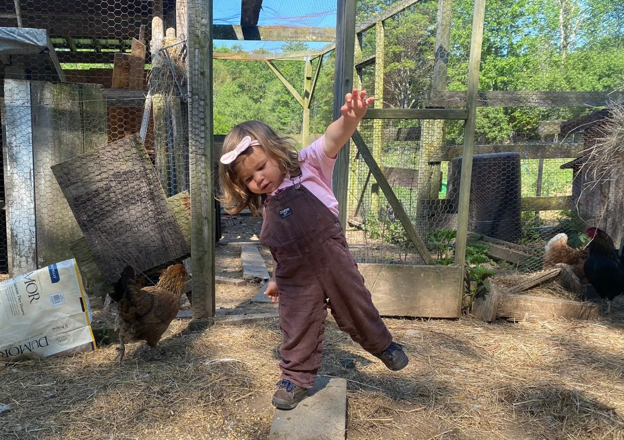 What City Kids Learn on My Farm - by Larissa Phillips