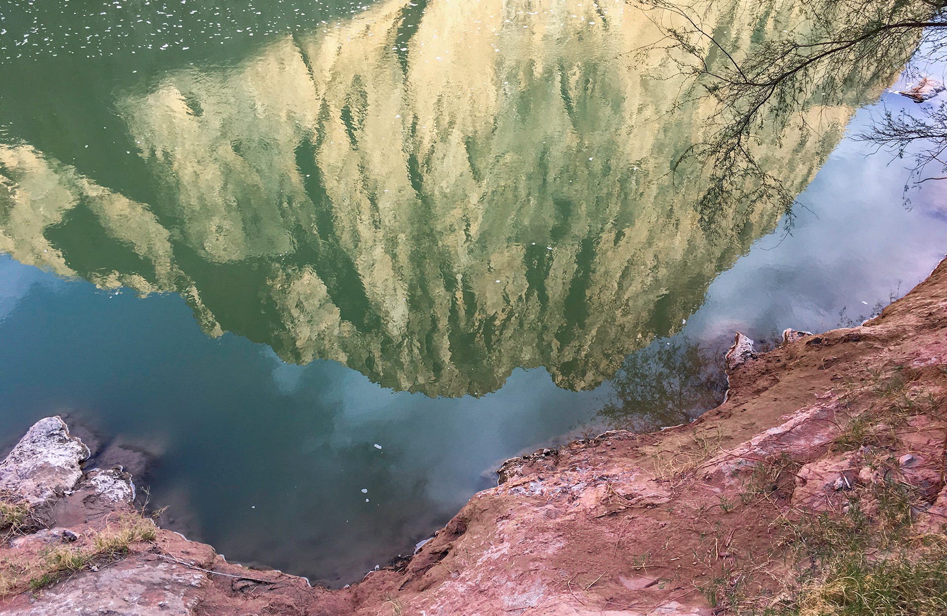 A Songbird Underwater - by Bryan Pfeiffer - Chasing Nature