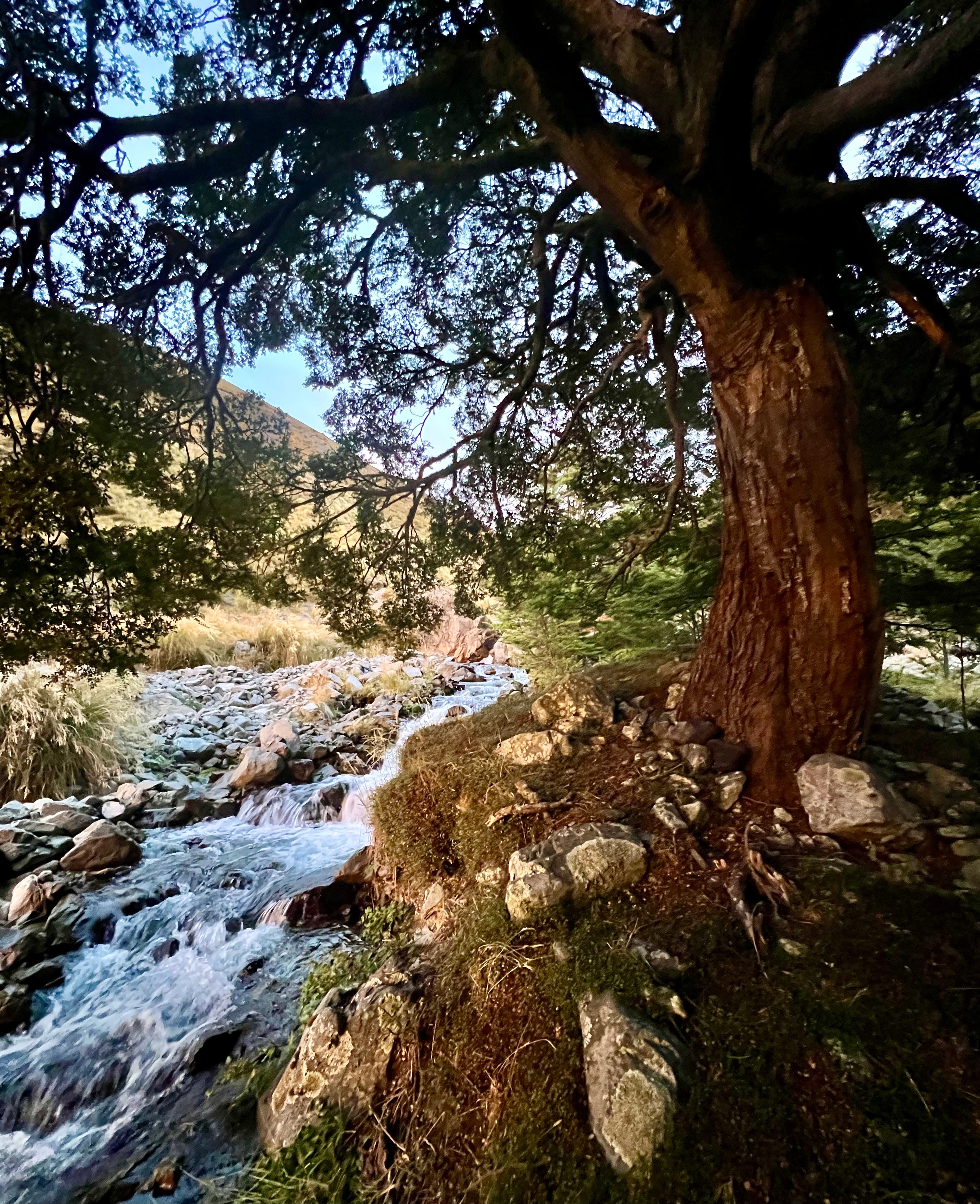 The transition to EVs🍋 - by Ian Duncan