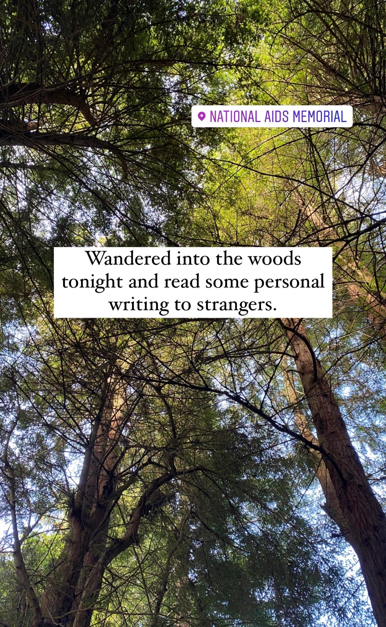 The Dos Not my husband - by Alissa Dos Santos - The Dos