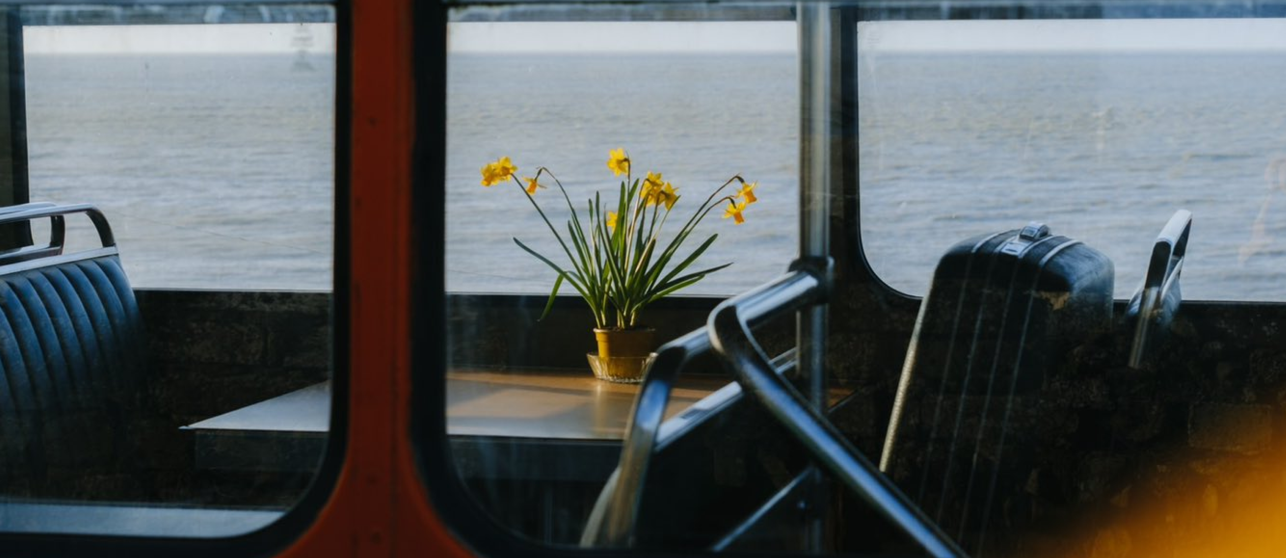 17 | Sin fuerzas y feliz, Esteban Feune de Colombi & Roman Fox.