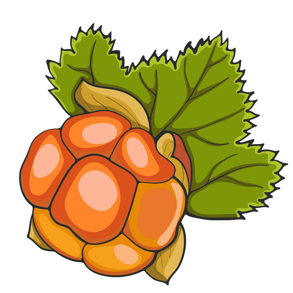 Join Finn Tropy’s subscriber chat