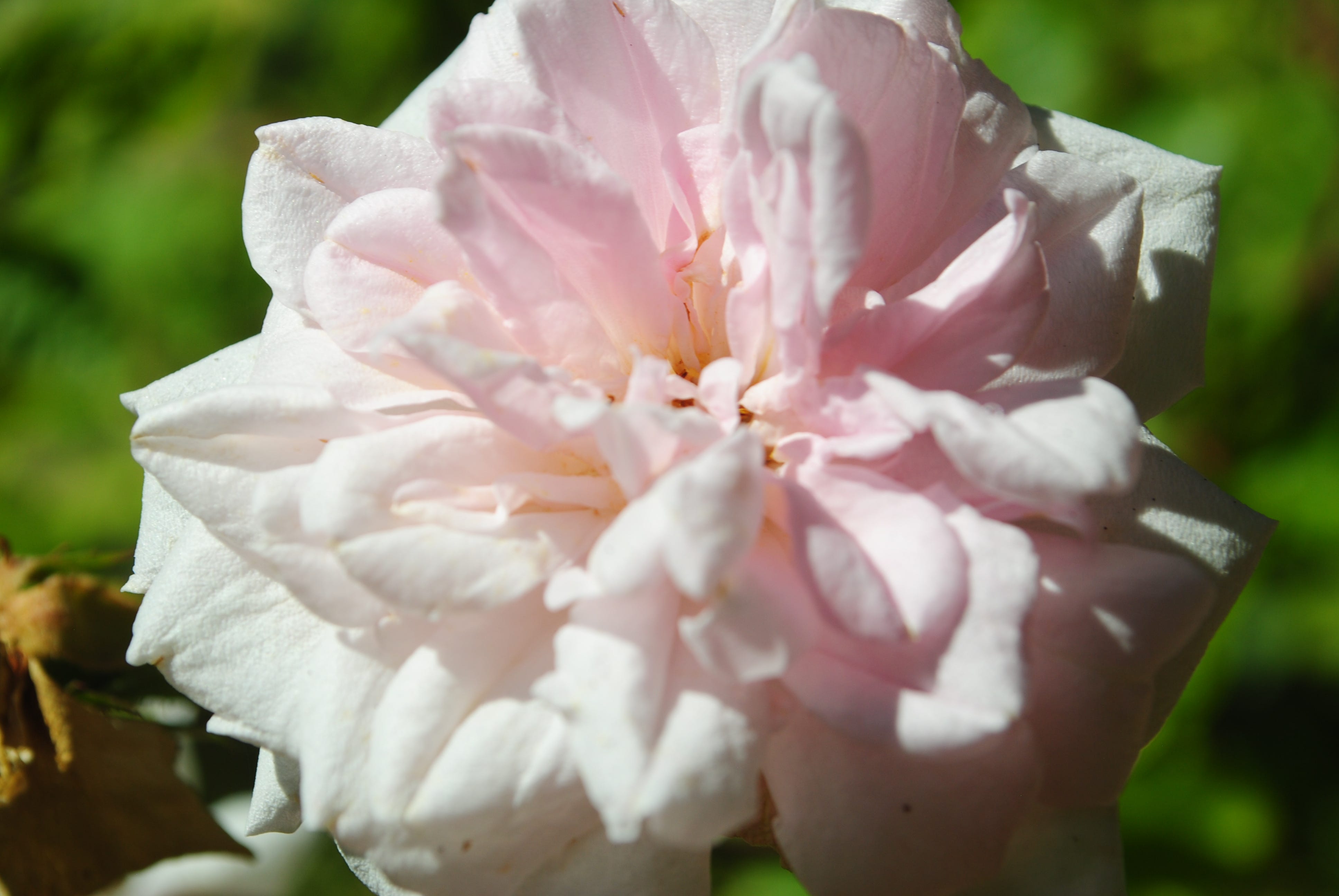 Messages - by Janet Salsman - Janet’s Substack