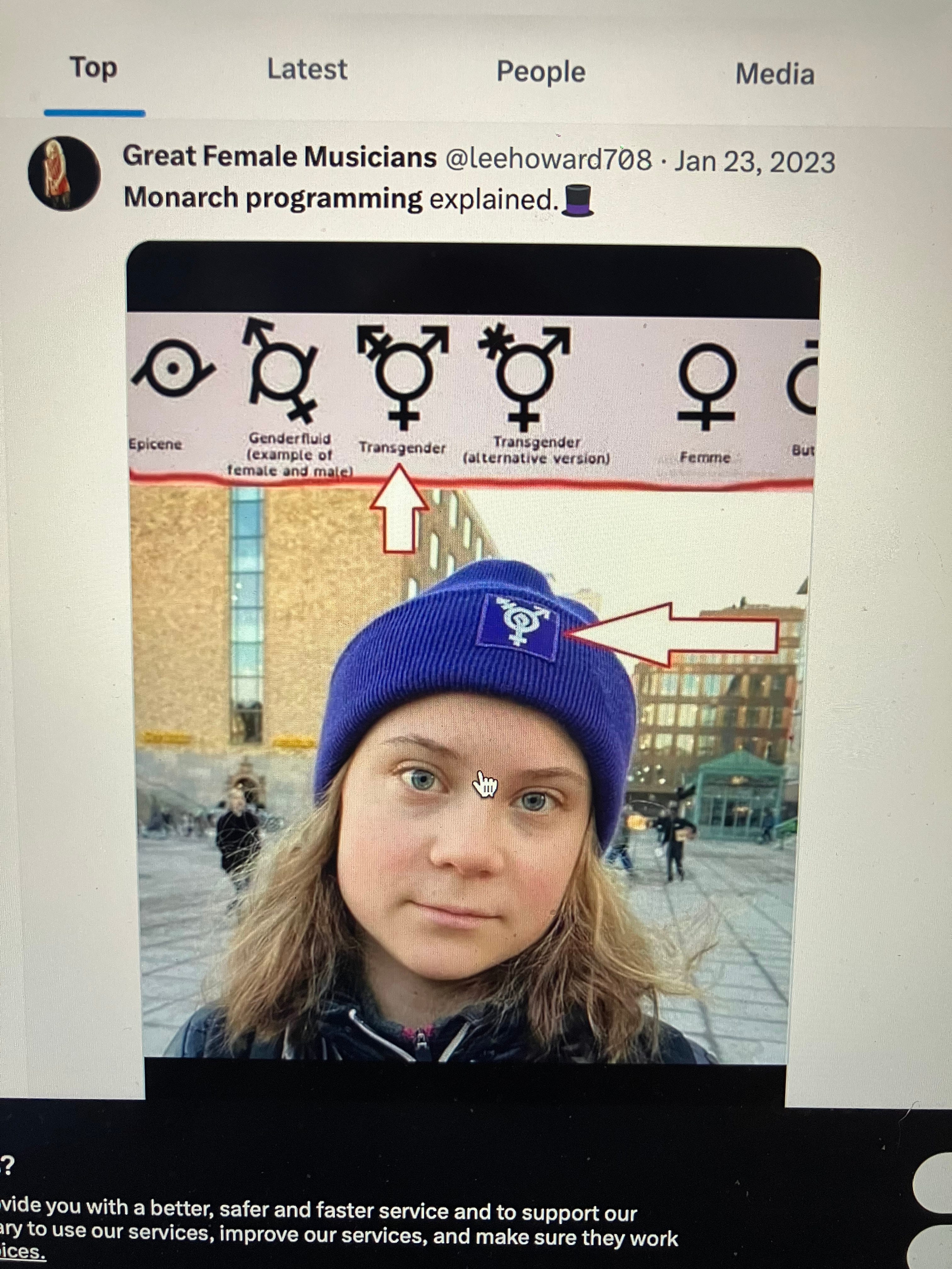 Explaining What Monarch Means In The Context of All We Are Enduring