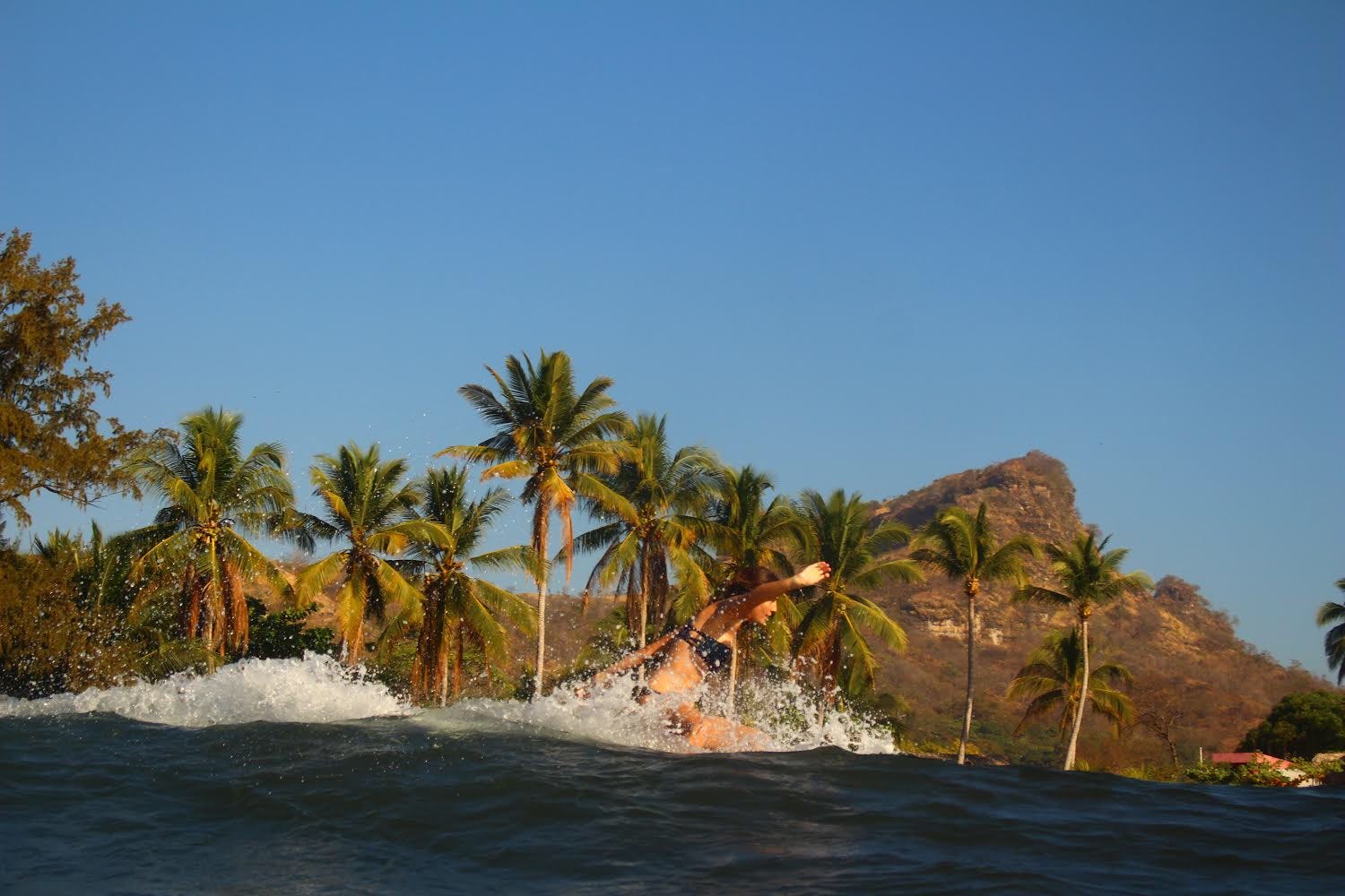 The Monkey Song to our Primal Brains