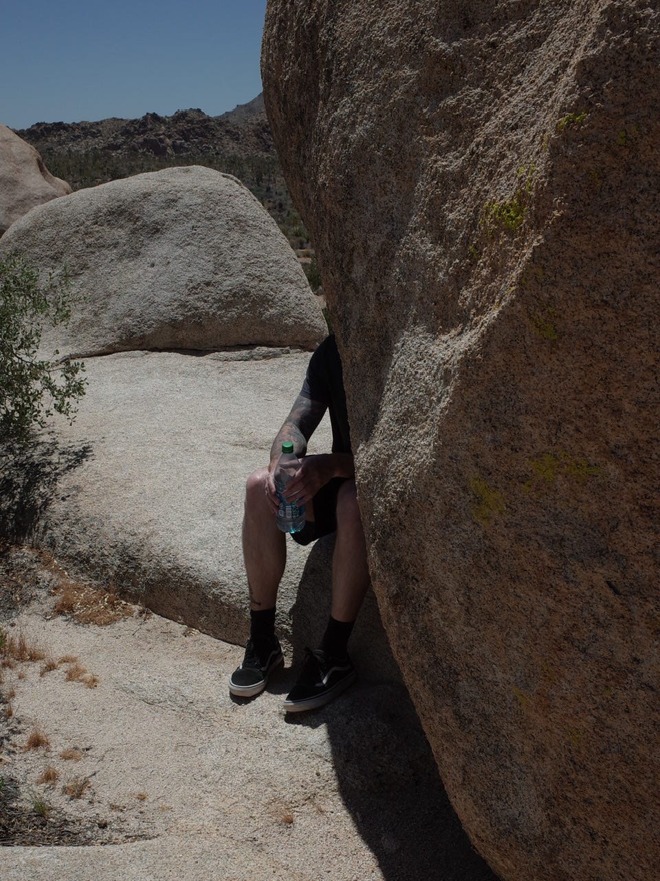 #85: Walking in Joshua Tree - by Stefania Culafic