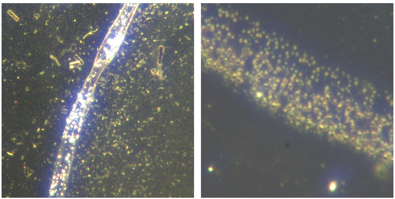 Massive Nano and Microrobot Activity In Pfizer BioN Tech COVID19 ...
