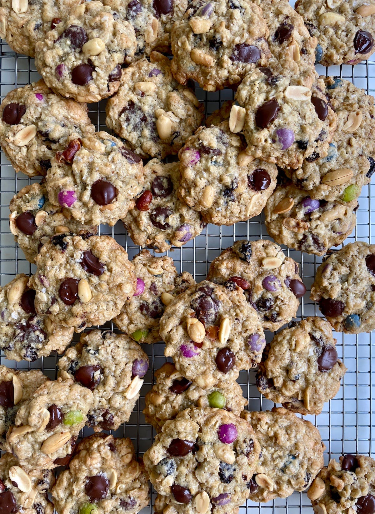GORP Cookies - by Susan Spungen - Susanality