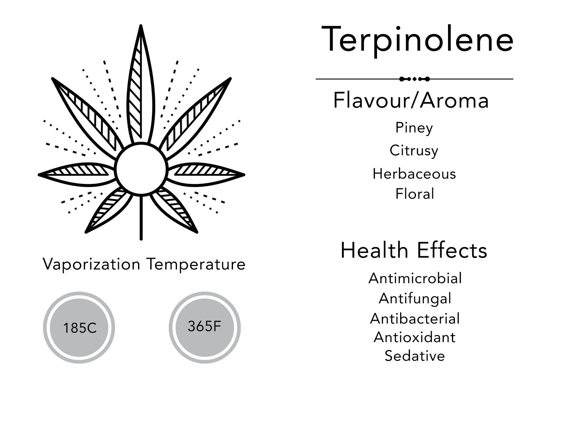 Terpene of the Month: Terpinolene | AusCannaReviews