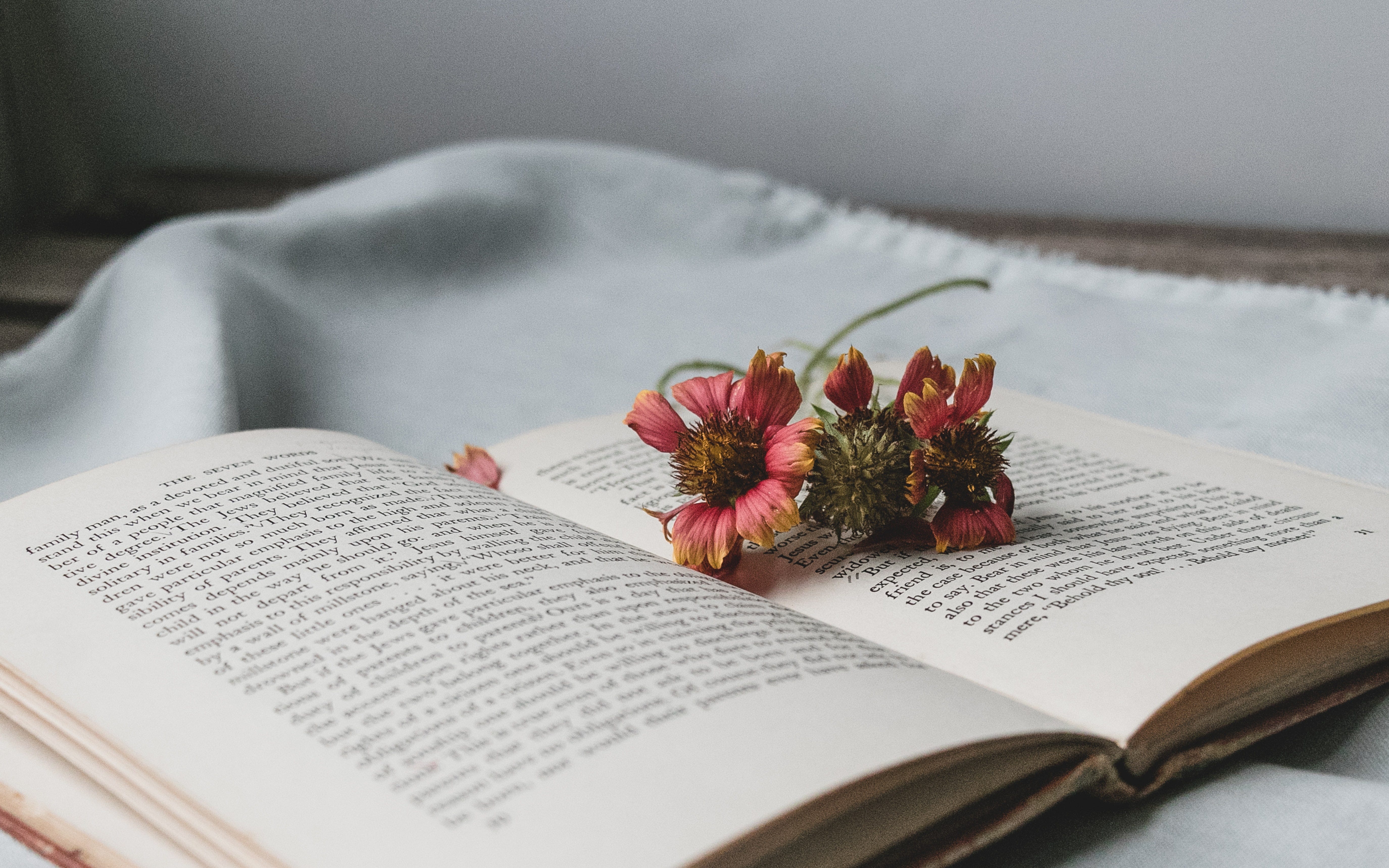 Happy Friday Links - by Gayla Gray
