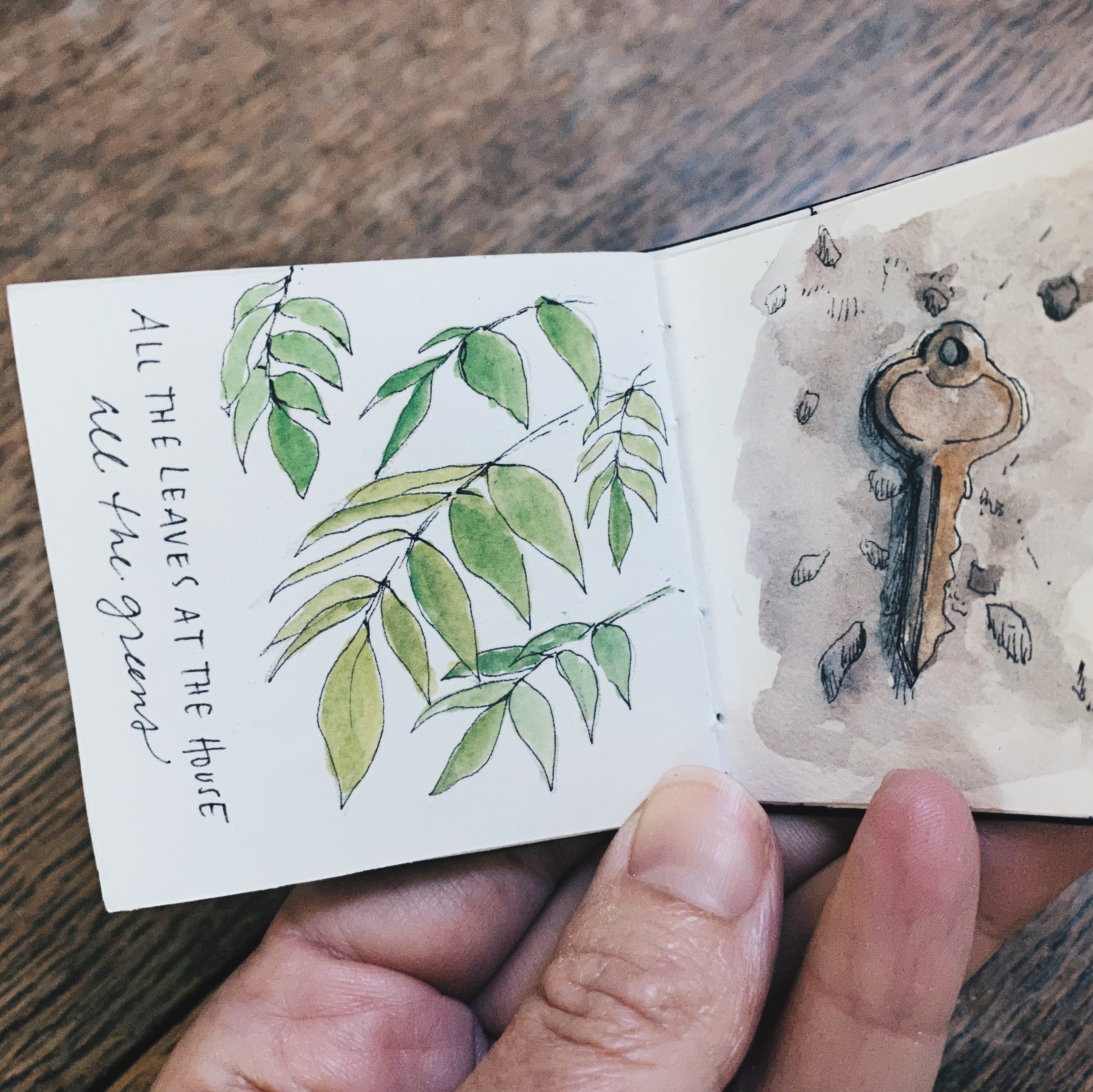 How To Draw Folded Leaves