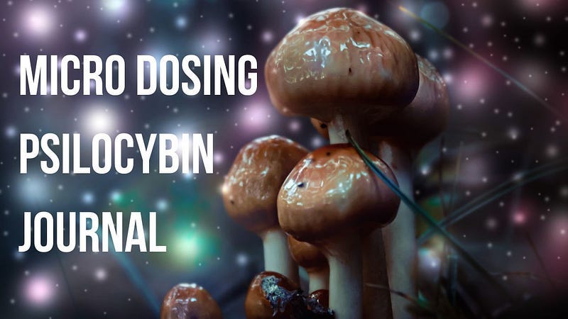 Micro dosing psilocybin journal [1st dose: love & beauty]