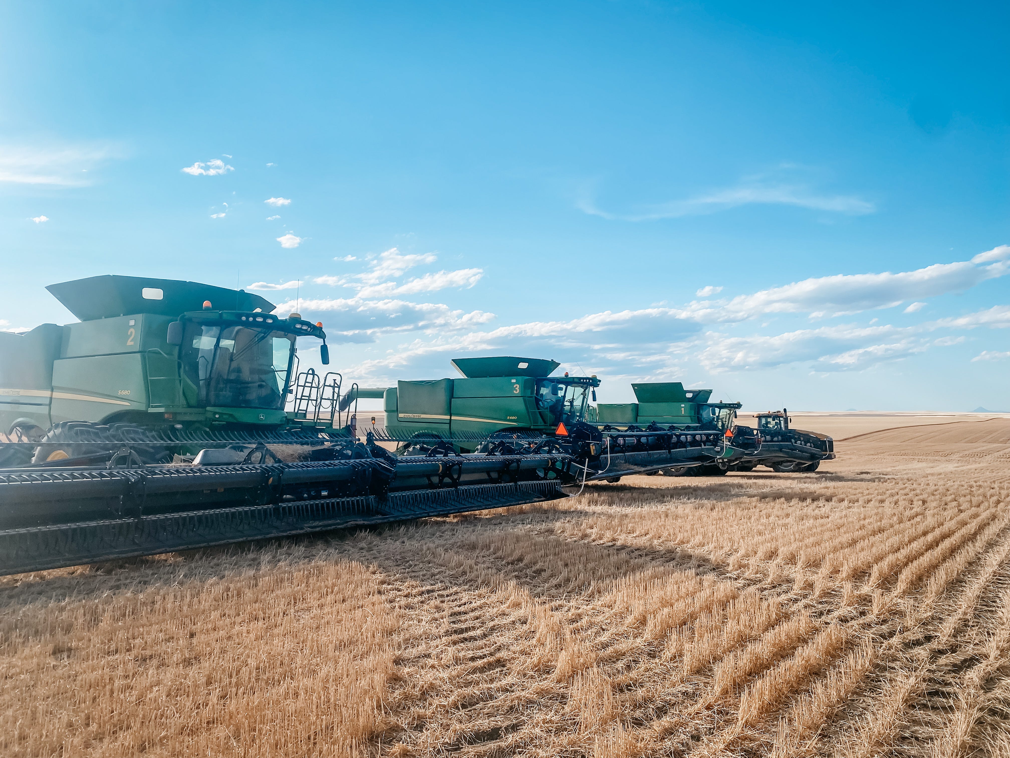 Unraveling the Spool - by Stacy Bronec - Planting Season