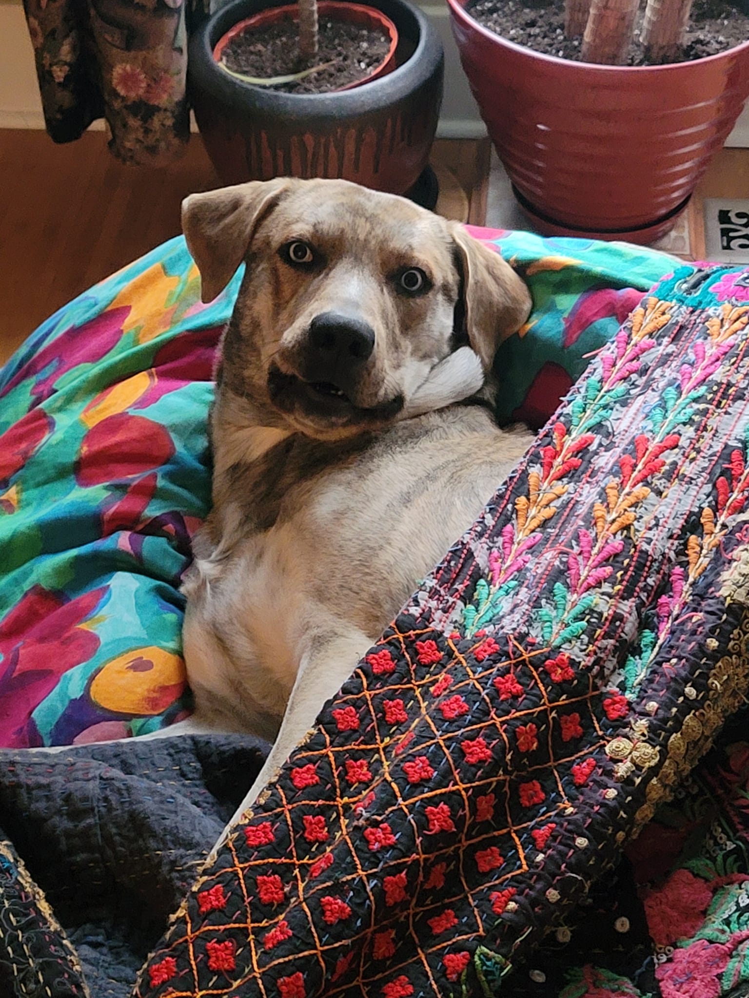 This Liminal Space - by David Ward - Adjusting the Dial