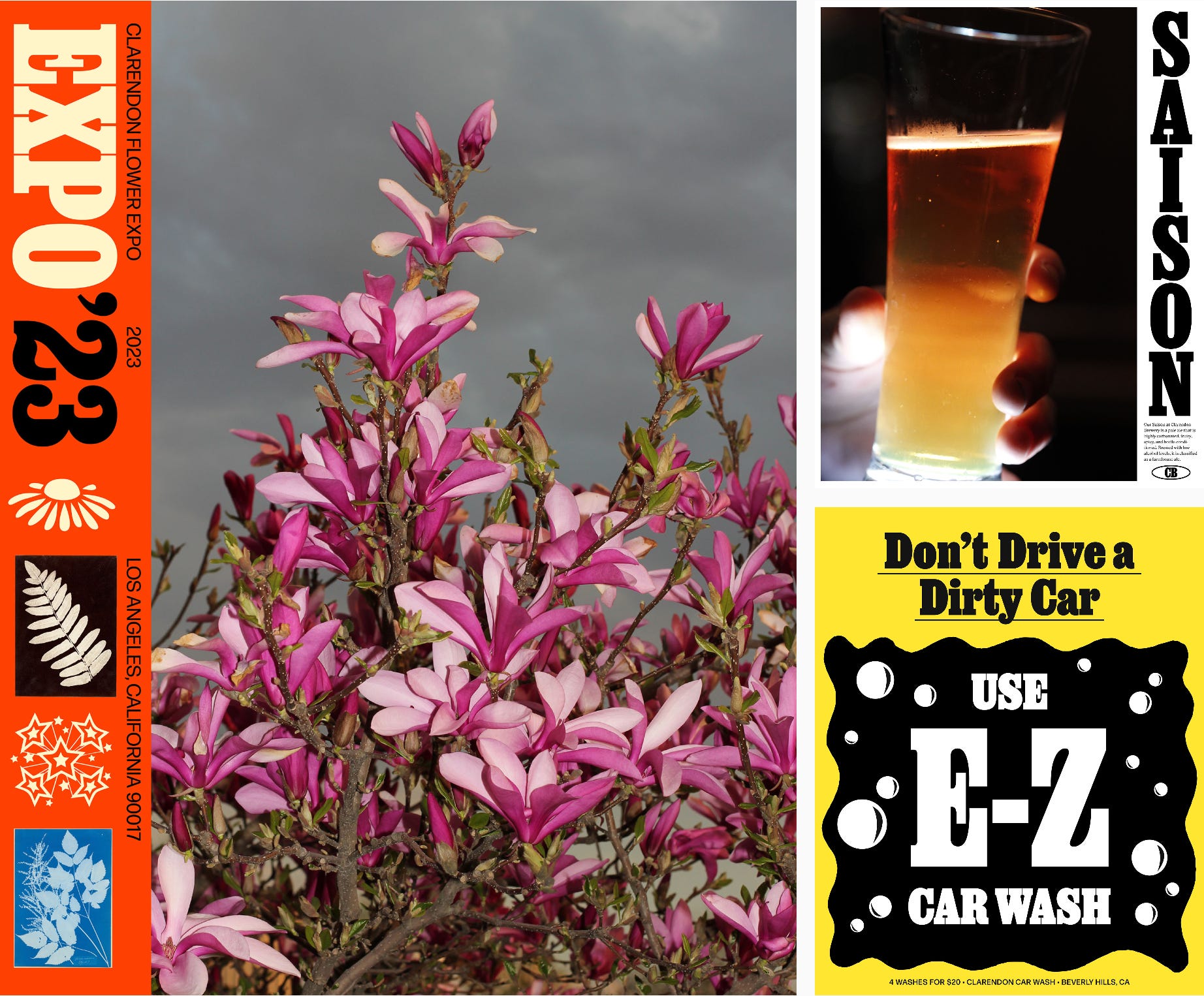 No Password Tomorrow - by Bobby Aaron Solomon