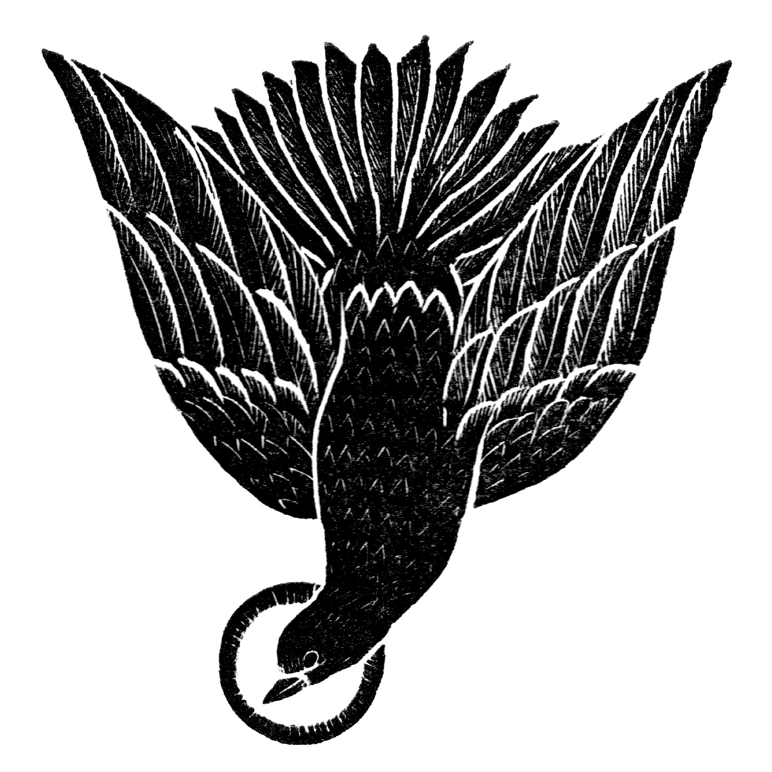 Madoc Cairns | Substack