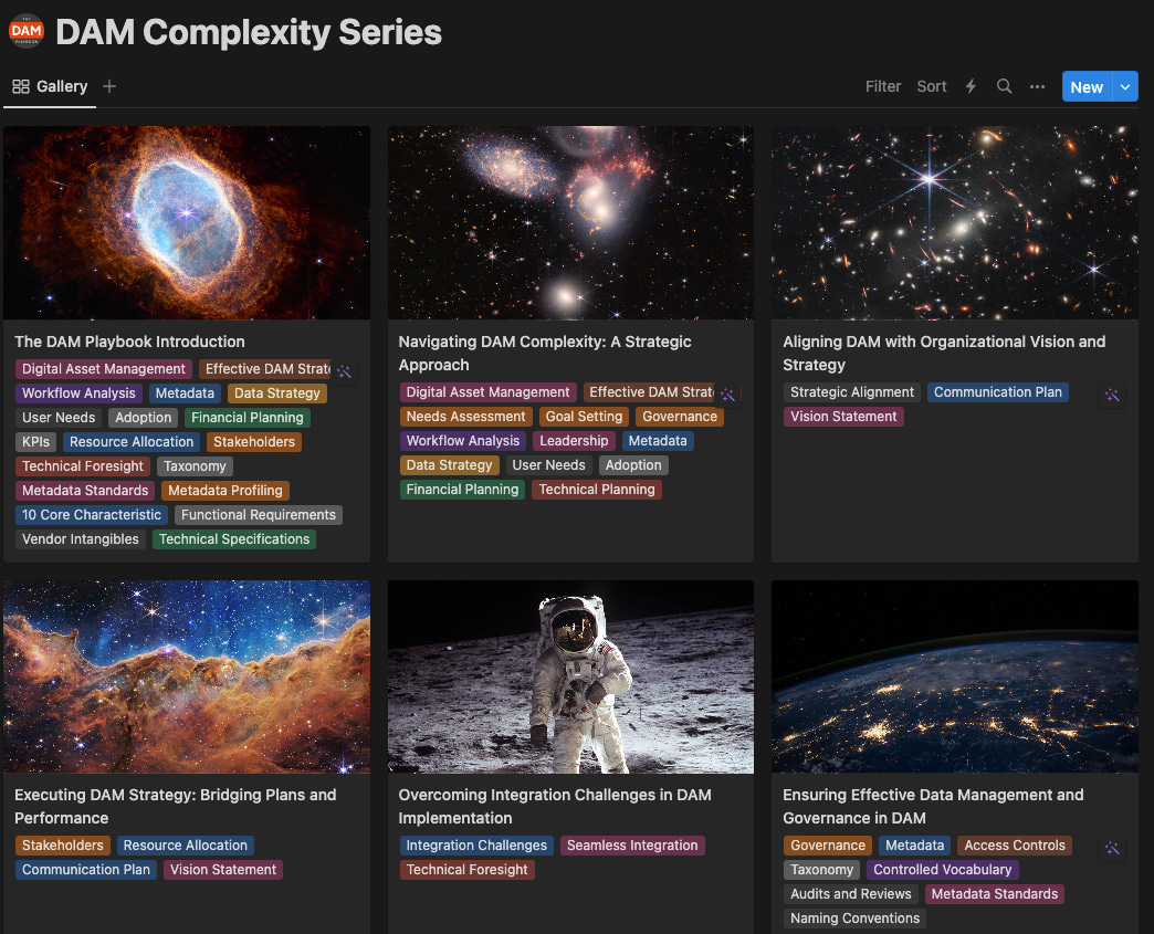 Navigating DAM Complexity - The DAM Playbook